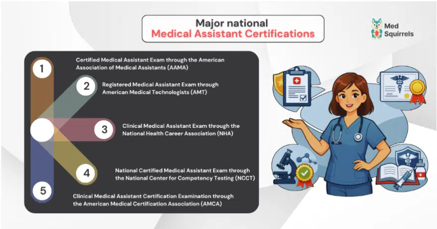 Medical Assistant vs CNA: Choosing the Right Support Staff